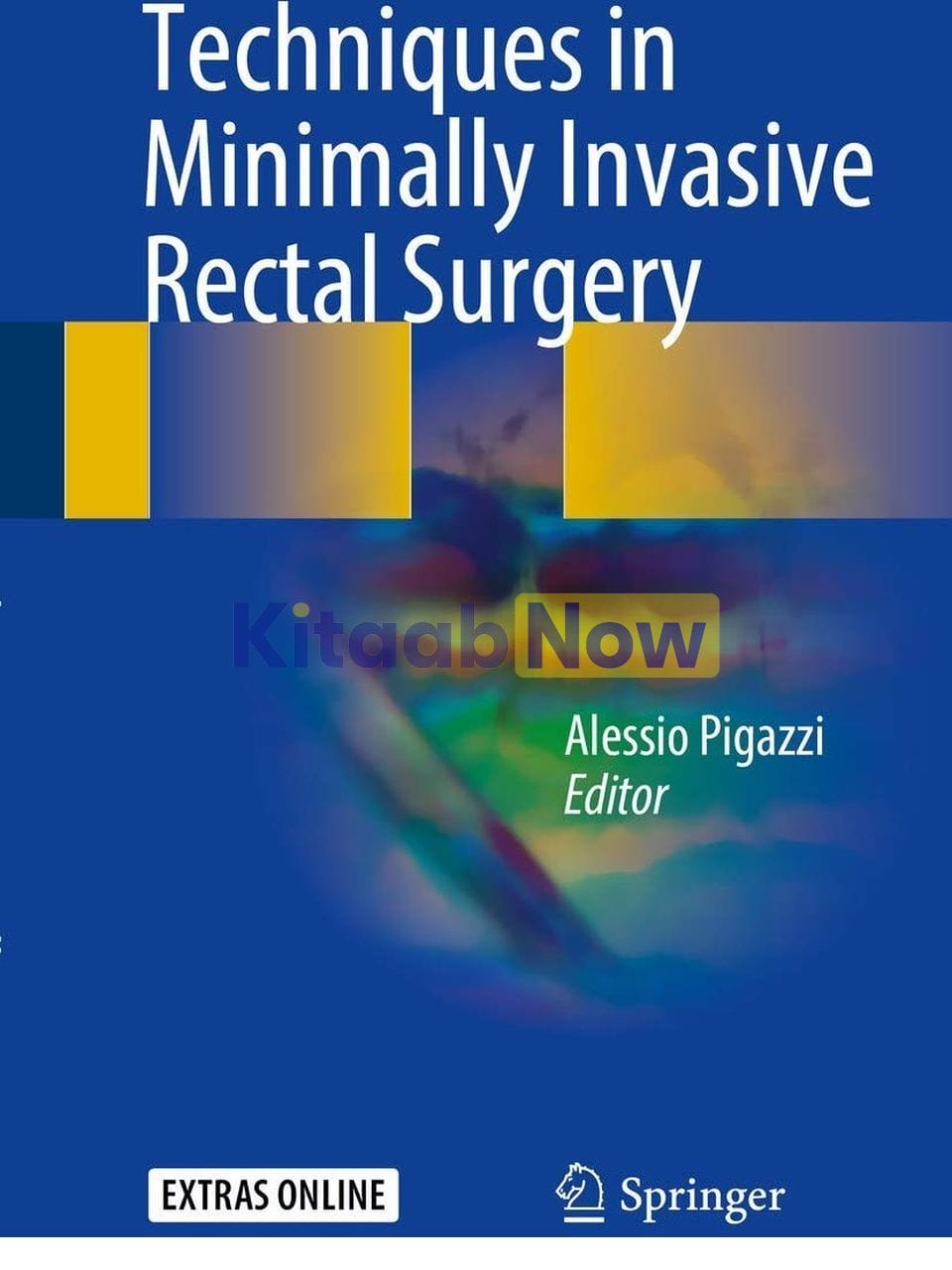 Techniques In Minimally Invasive Rectal Surgery Kitaabnow